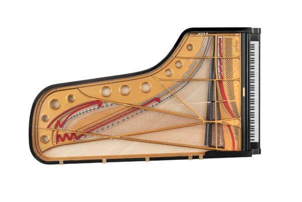 Fazioli - Kneifel Pianos