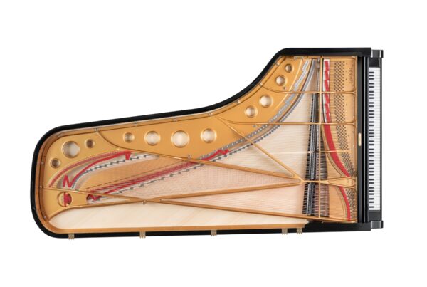 Fazioli - Kneifel Pianos